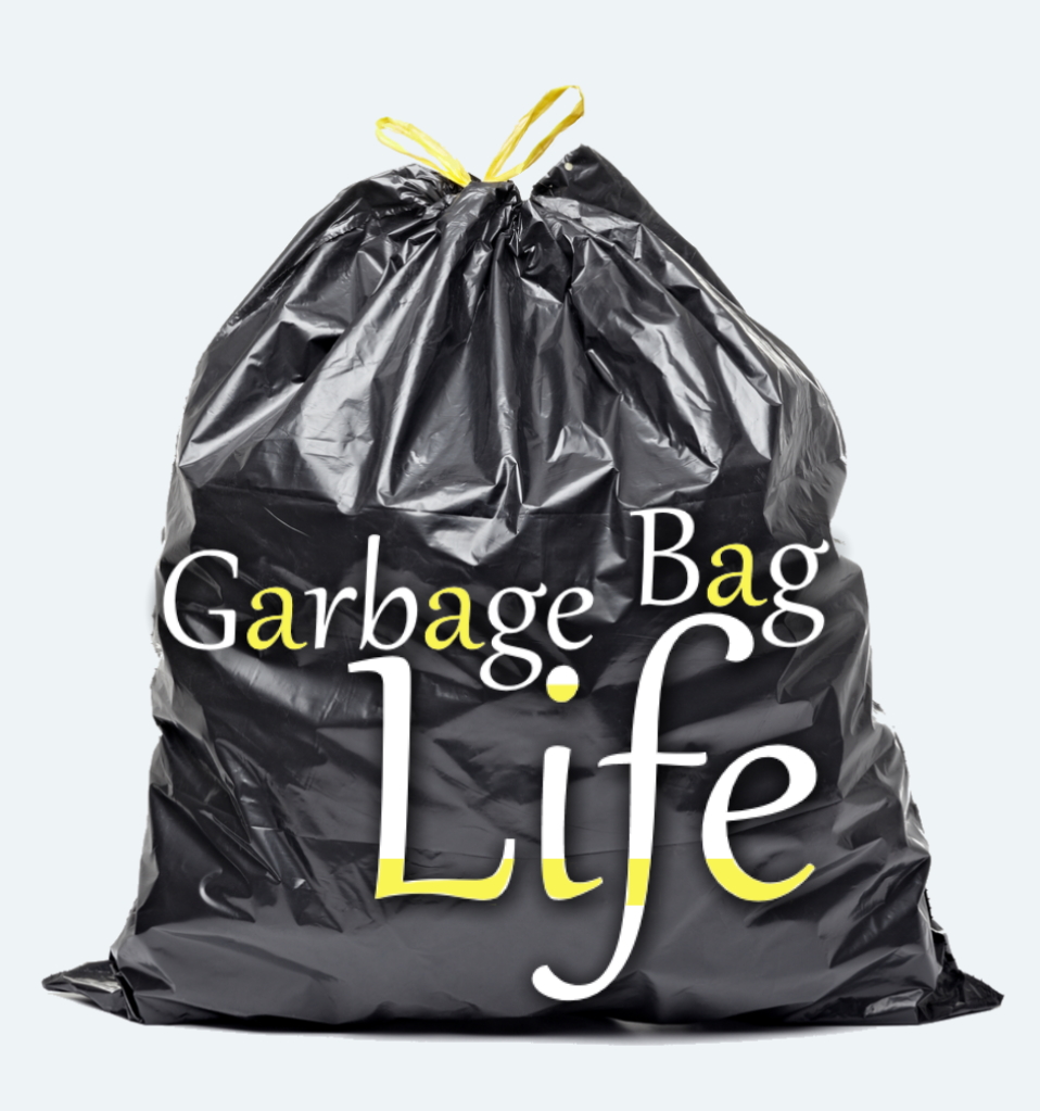 Garbage Bag Life – Every foster child deserves a voice… This is mine.